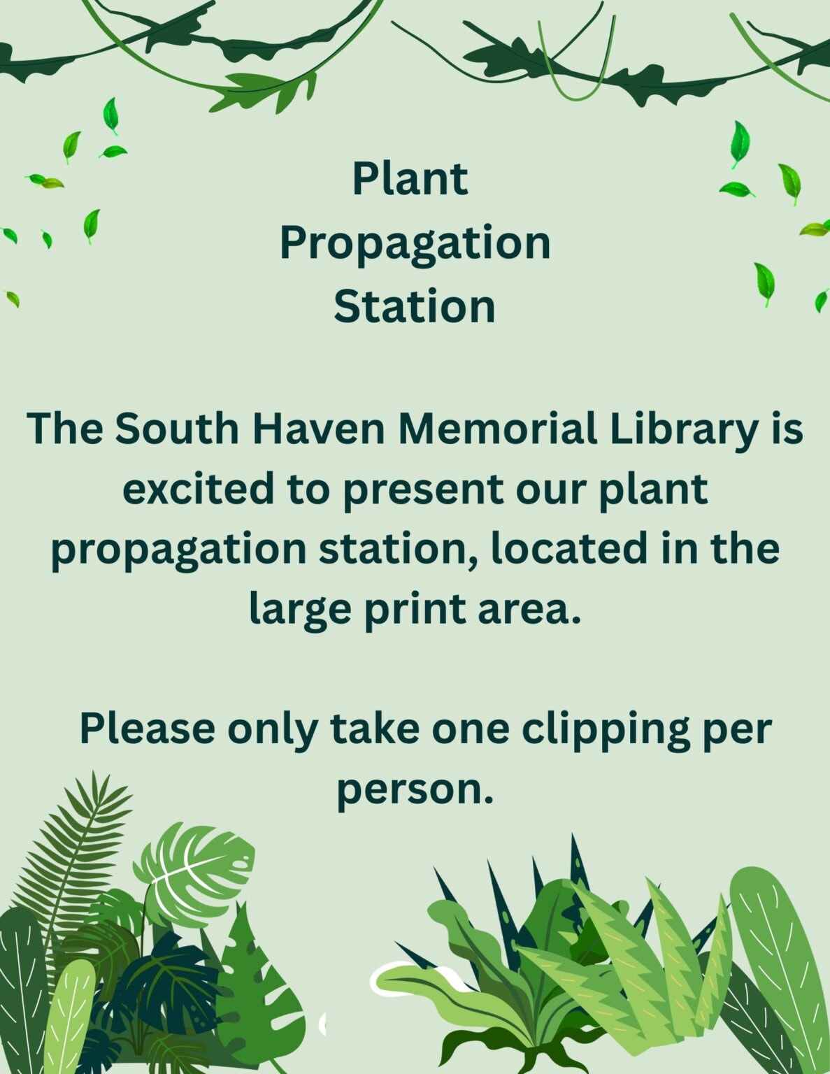 Plant Propagation Station | South Haven Memorial Library