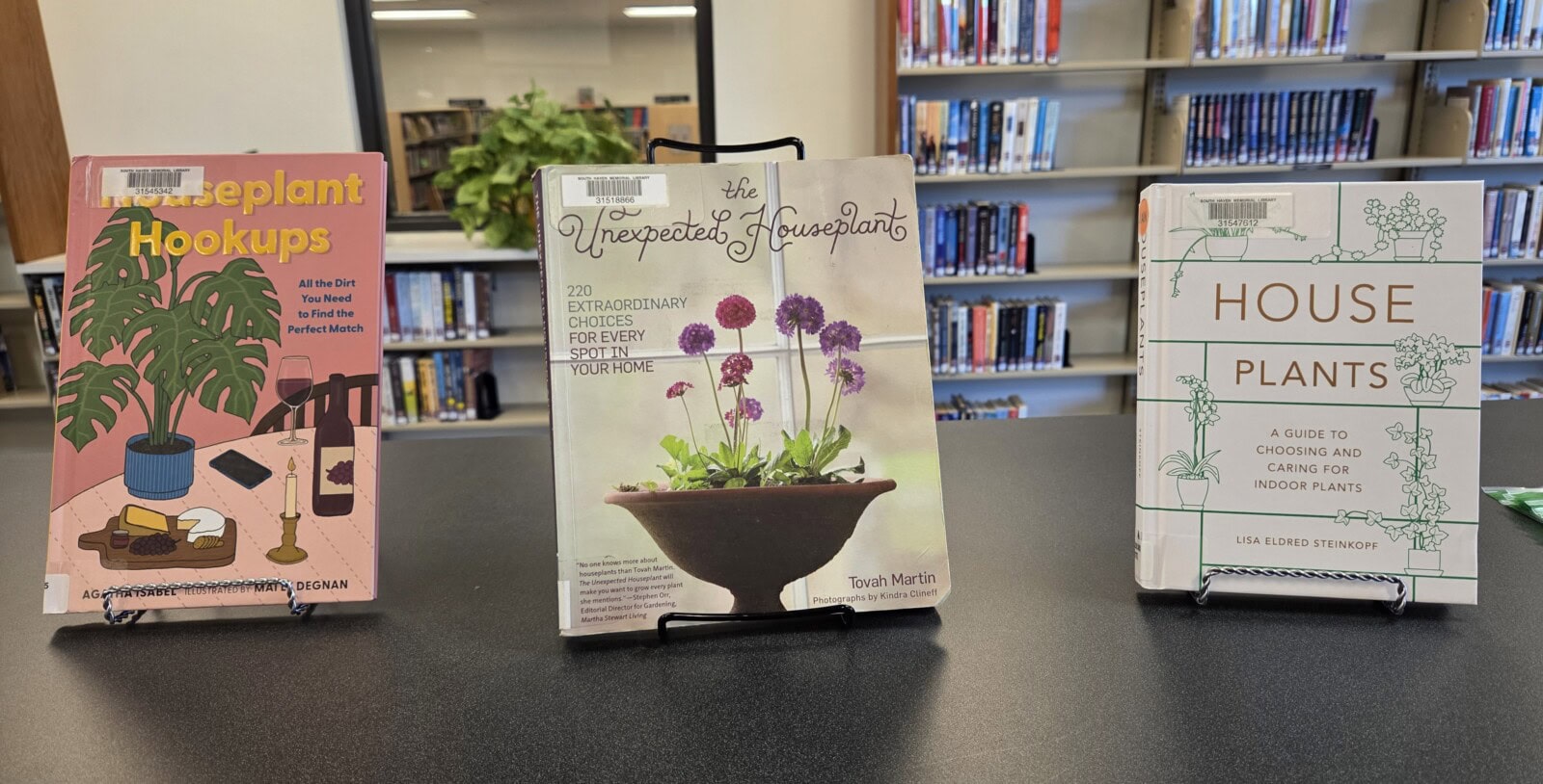 Plant Propagation Station | South Haven Memorial Library